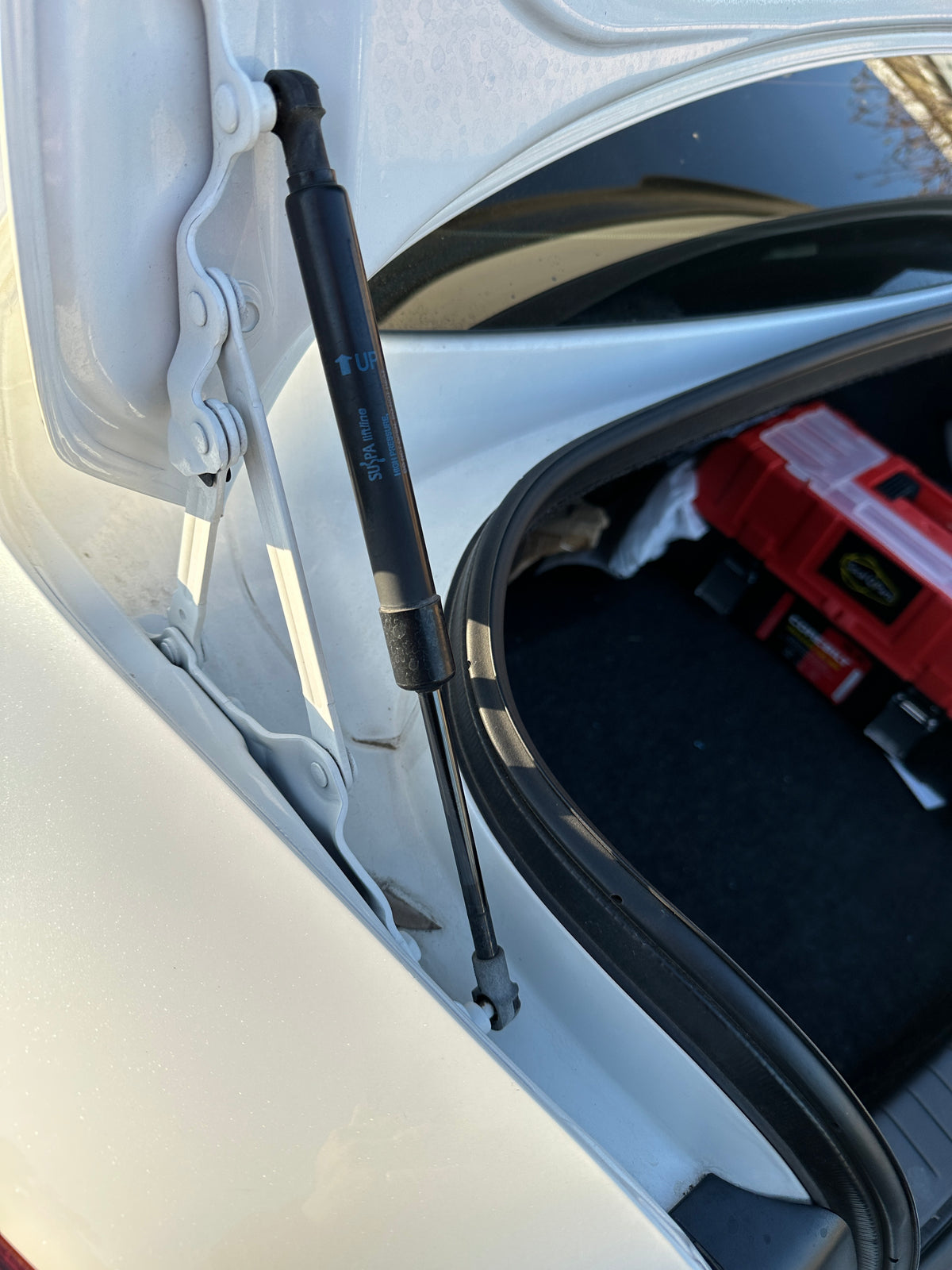 Rear Trunk Gas Strut Pair — Socal Q Parts